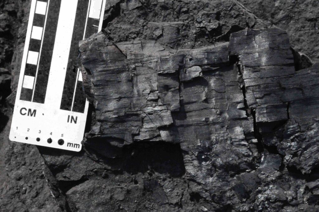 | Wildfires in the Cretaceous!Cipher Consulting Pty Ltd